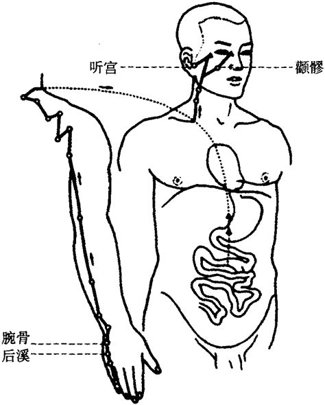 六手太阳小肠经 中医学 医学