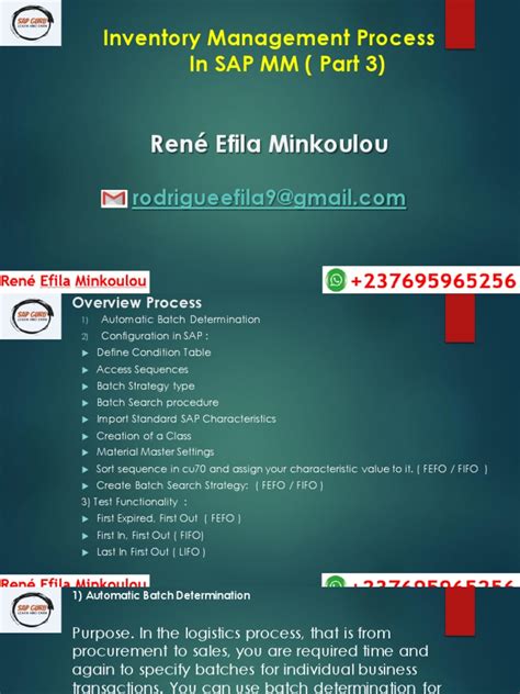 Sap Inventory Management Pdf Inventory Logistics