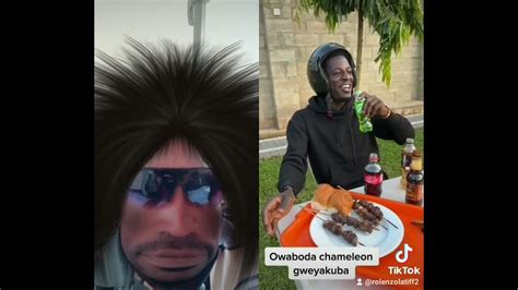 Chamileon Concert Counciled Youtube