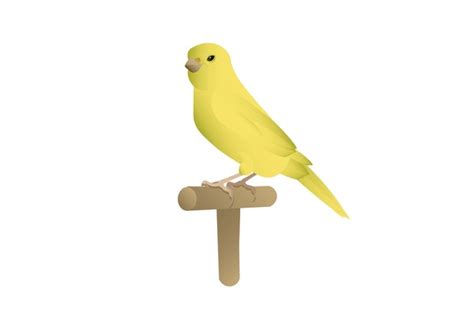 Avian Melodies Over 33 Royalty Free Licensable Stock Vectors And Vector