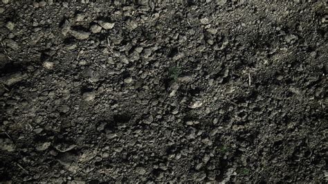 La Importancia Y La Conservación Del Suelo Protestante Digital