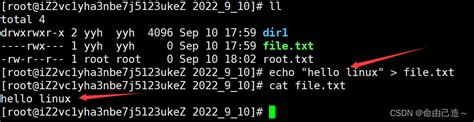 【linux】权限的理解linux 权限 什么意思 Csdn博客