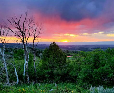 Jen Pedersen Broker Associate Coldwell Banker Distinctive Properties Today Were Looking At