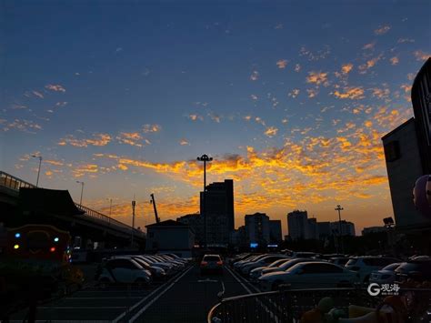 仿佛披上了金色的外衣青岛的傍晚长这样 青报网 青岛日报官网