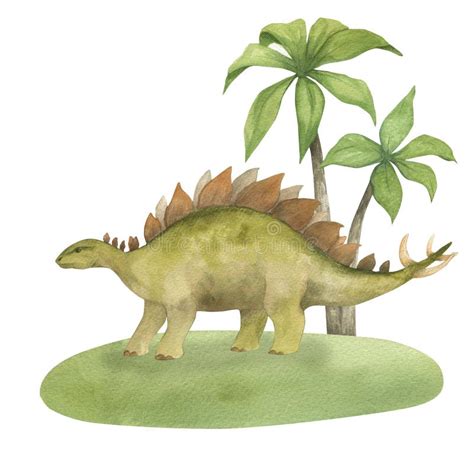 Watercolor Illustration Of A Dinosaur Stegosaurus On Green Grass With