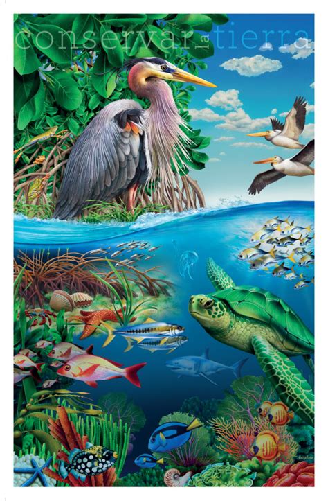 Celebrar El Día Mundial De Las Tortugas Marinas Póster Shareamerica