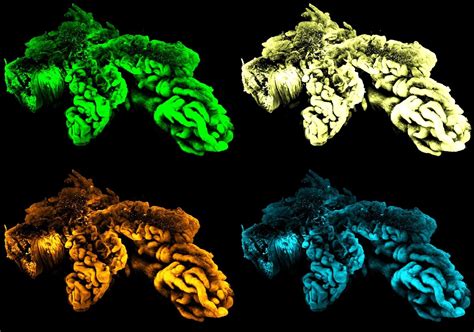 alpenglow s 3d spatial biology platform supports cell reports journal