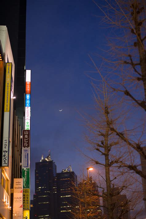 ぽつねんと Yuria Flickr