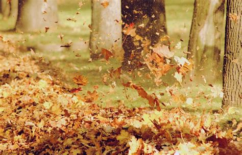 우리들이 사랑한 그 계절의 분위기 인스티즈instiz 이슈 카테고리