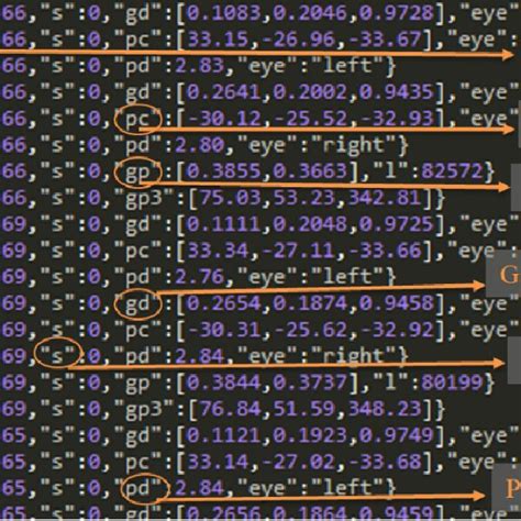 Excerpt From The Exported Raw Data From Eye Tracking Download