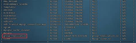 Mysql 8x 高可用集群之mgr（组复制）mysql8 Mgr Csdn博客