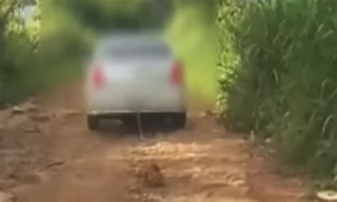 Vídeo cachorro é amarrado em corda e arrastado em estrada de terra em
