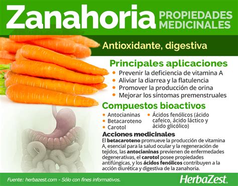 Zanahoria Propiedades Y Beneficios Youtube My XXX Hot Girl