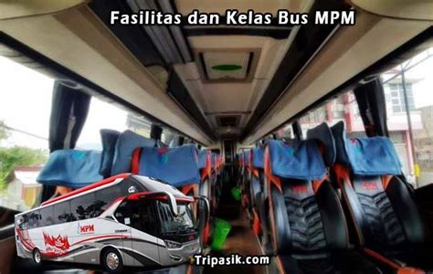 Tiket Bus MPM Jadwal Harga Agustus 2023 Semua Rute