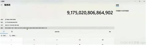 第十四章 Redis之全局唯一id（分布式集群）redis生成全局唯一id Csdn博客