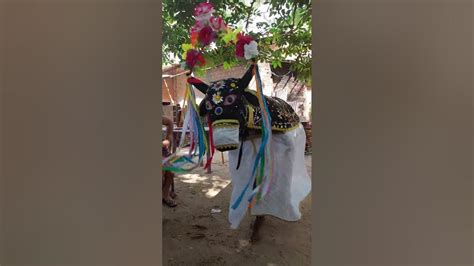 Mestre Bacuí Youtube