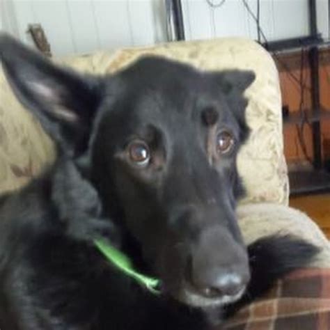 Taylor “insanerex” Slagle Youtube