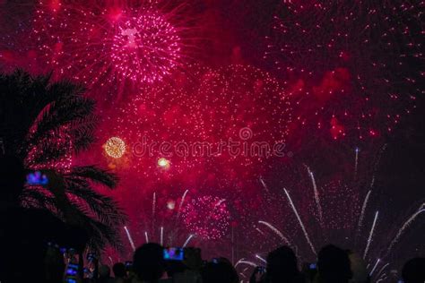 Abstract Colored Firework With Palm Trees Stock Image Image Of