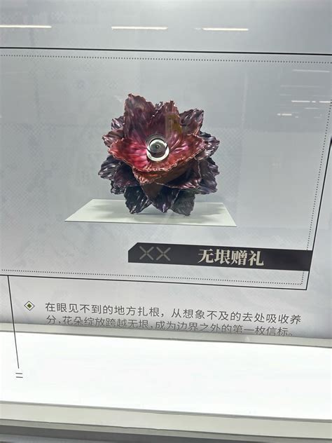 闲谈交流 上海徐家汇地铁站有肉鸽藏品 178