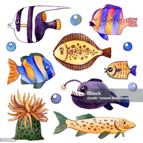 Ensemble De Dessin Animé Daquarelle De La Vie Marine Poissons Objets