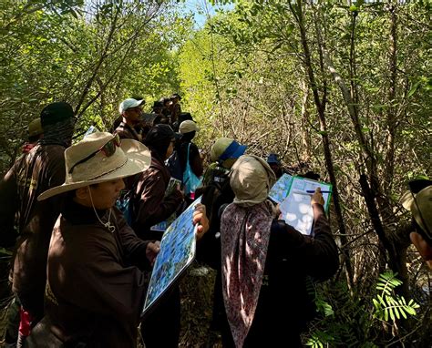 Belajar Dari Alam Rehabilitasi Mangrove Di Lantebung Yayasan
