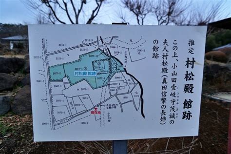 館跡の宝筐院塔と私 v きょーなのハッピハッピータイム