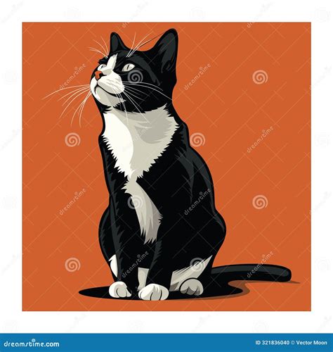 Black White Tuxedo Cat Looking Up Orange Background Feline Attentive