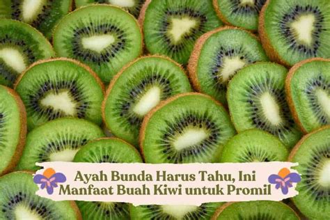 Bunda Perlu Tahu Ini Manfaat Folavit Untuk Promil