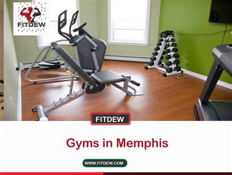 4 Best Gyms In Memphis Fitdew