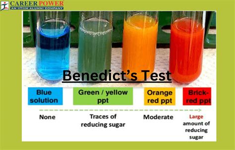 Benedicts Test Reagent Composition Principal And Uses