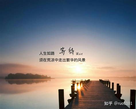 一个人所走的路 知乎