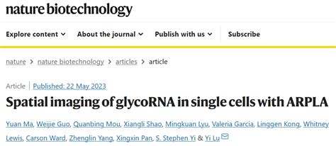 Nature子刊：陆艺团队开发糖基化rna原位成像方法arpla 生物科技 健康一线资讯