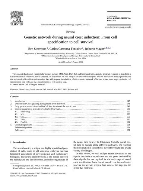 Pdf Genetic Network During Neural Crest Induction From Cell Specification To Cell Survival
