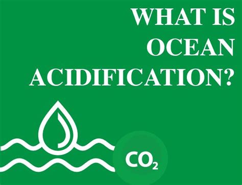 What Is Ocean Acidification Ocean Acidification Earth Lessons Ocean