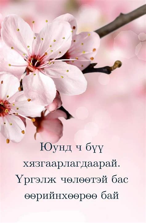 Сэтгэл сэргээх сайхан үгс Facebook