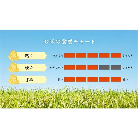 お米 ギフト 米 2kg いちほまれ 福井県産 イチホマレ 2キロ 令和6年産 新米 お米ギフト 食品 入学内祝い 引っ越し 挨拶 名入れ