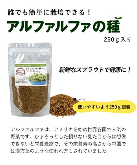 楽天市場アルファルファ 種 250g 高品質 業務用 オーストラリア産 Alfalfa 野菜種 あるふぁるふぁ seed スプラウト