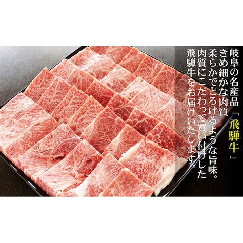 【定期便12ヶ月】牛肉 飛騨牛 焼き肉 セット 赤身 モモ 又は カタ 1kg 黒毛和牛 A5 美味しい お肉 牛 肉 和牛 焼肉 Bbq