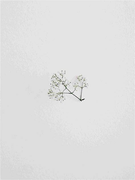 Minimalist Aesthetic Flower Drawing Ukrainedisco