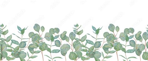 Watercolor Seamless Border Of Mint Green Eucalyptus Branches Hand