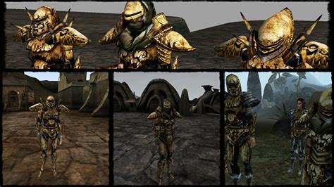 Bonemold Armor Retexture Image Chaos Heart Reshaped Mod For Elder
