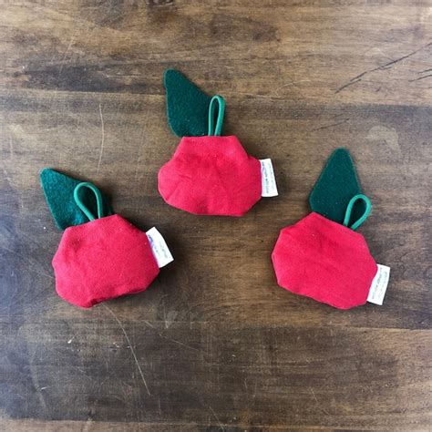 Refillable Catnip Apple Cat Toy Canvas Cat Toy With Organic Etsy