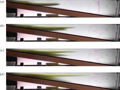 Colour Online Evolution Of A Turbidity Current With S 0147 N Download Scientific