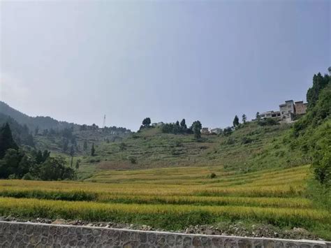 大方县果瓦乡大方县兴隆乡大山谷图库