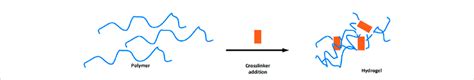 Hydrogels By Crosslinking Formation Download Scientific Diagram