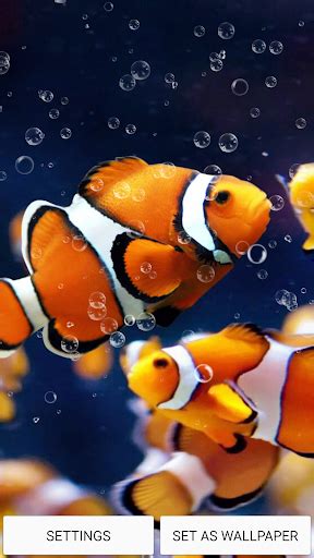 برنامه Aquarium Live Wallpaper دانلود کافه بازار