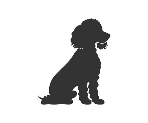 Miniature Poodle Silhouette Vector Illustration Design Premium Ai