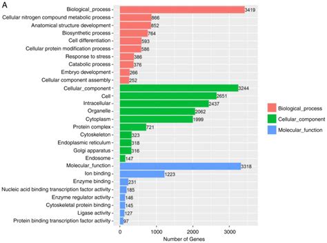 Characteristics Of Circular Rna Expression In Lung Tissues From Mice With Hypoxiainduced