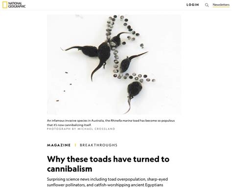5 Tips To Write The Most Clickable WordPress Headlines