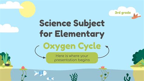 Oxygen Cycle